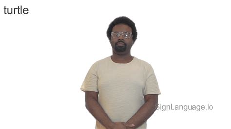 Turtle In Asl American Sign Language 6 Video Examples