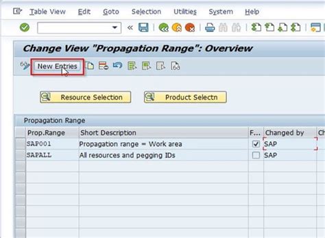 Maintain Propagation Ranges In SAP