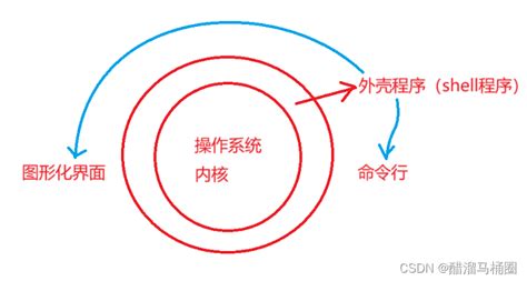 【linux】shell命令运行原理 认识linux基本指令shell 运行的ls、mv、rm等指令本质上是什么 Csdn博客
