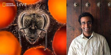 Anand Varma On The Worlds Invisible Wonders ‹ Literary Hub