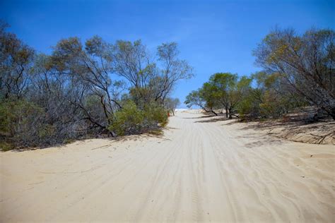 건조한 격리 경치 경치 좋은 전망 고독 관목 관심 장소 광대 광야 구름 경치 구름 낀 하늘 노던 테리토리 다나미 사막 덤불 도로 메마른 모험