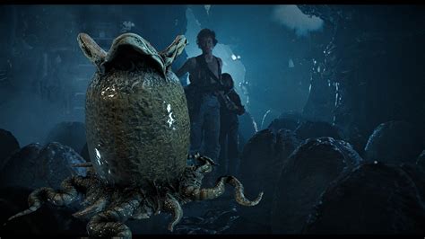 Xenomorph Overview