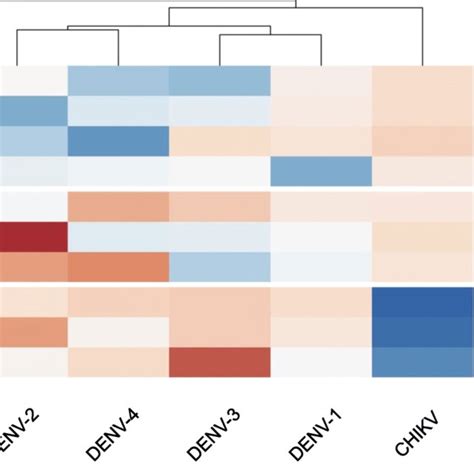 Hierarchical Clustering Analysis Comparing Cytokine Production Of Acute