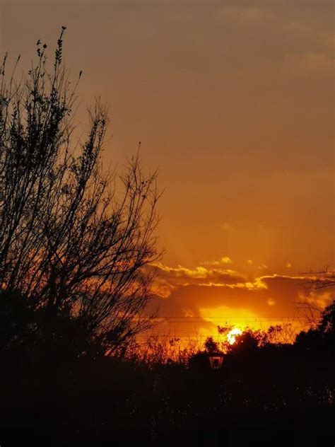 多头选择框架的bert联合实体关系抽取 知乎