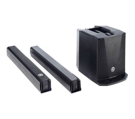 ANT B Twig Sistema Amplificato PA W FaceTheSound