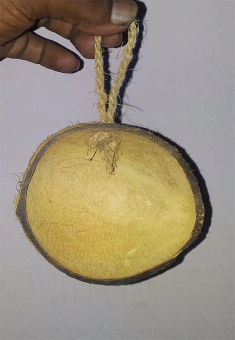 Coco Feeder At Best Price In Coimbatore By Axiler Impex Id 5675788130