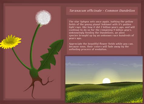 Ive Seen That People Often Overlook Plants In Their Speculative Worlds