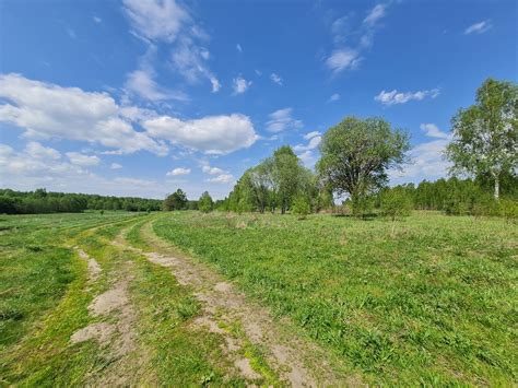 Земли сельхозназначения Московская область Дмитровский городской округ деревня Дрочево