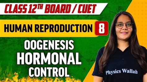 Human Reproduction 08 Oogenesis And Hormonal Control Class 12th