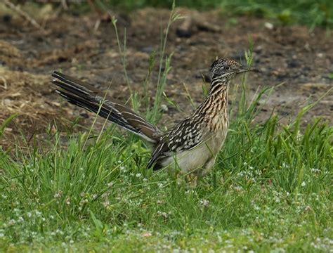 Bf3d60a8 F16b 4ac7 9ced 6212eafdf7e7 Jpeg Sony Alpha Forums