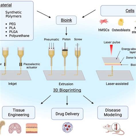 Overview Of 3d Bioprinting Including Bioink Composition Common Types