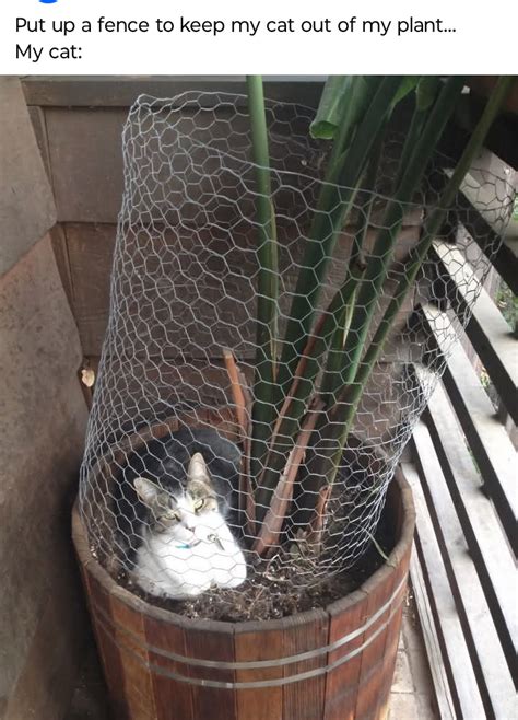 Become Ungovernable Album On Imgur