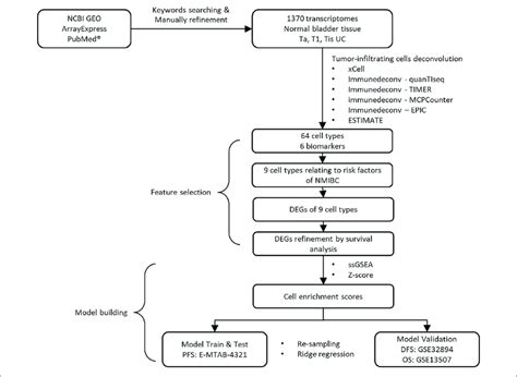 Overview Of Study Design Download Scientific Diagram