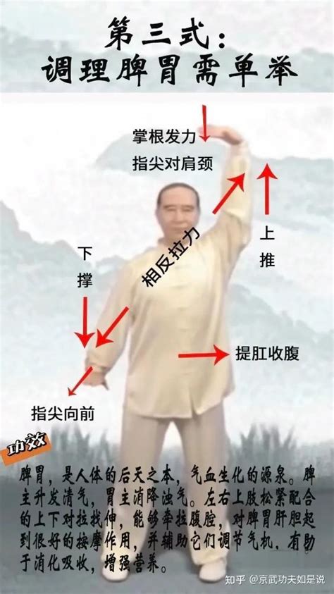 八段锦第三式调理脾胃须单举的细节 知乎