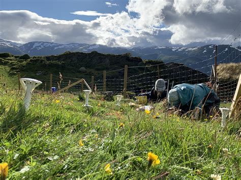 How To Measure Plant Species Composition Climex Handbook