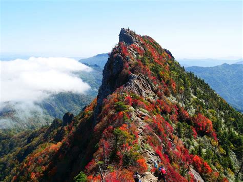 石鎚山・天狗岳の紅葉 にこりんさんの石鎚山・堂ヶ森・二ノ森の活動データ Yamap ヤマップ