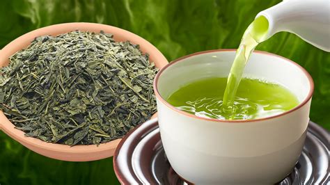 Expert Tips And Tricks For Brewing Sencha Green Tea