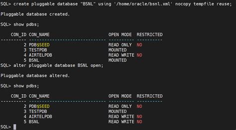 How To Unplug And Plug The Pdb In C Database