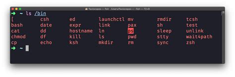 The Unix Filesystem Commands