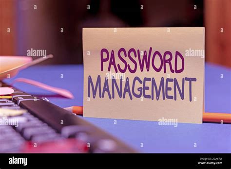 Conceptual Display Password Management Business Overview Software Used To Help Users Better