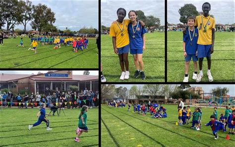 School News Mary Mackillop Catholic Community Ps