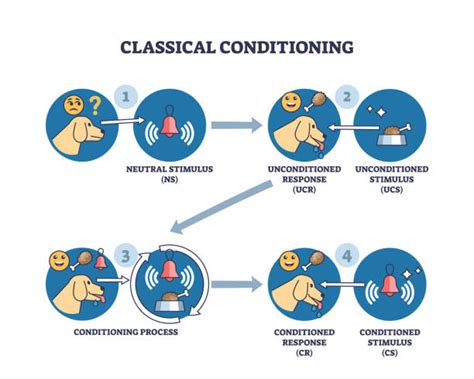 Classical Conditioning People