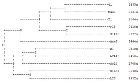 Dendrogram Based On Neis Genetic Distance Method Upgma Download