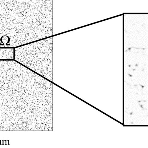 Sem Image 1 Of Pressed Hmx The Dimensions Of The Sample Are Download Scientific Diagram