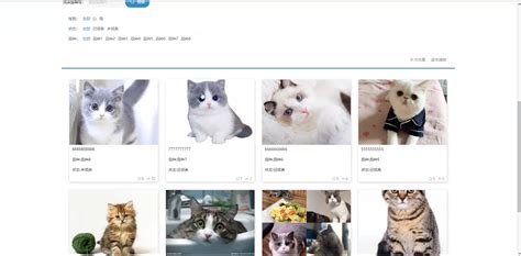 [含文档 ppt 源码等]精品基于python实现的流浪猫援助网站救助与实现 csdn博客