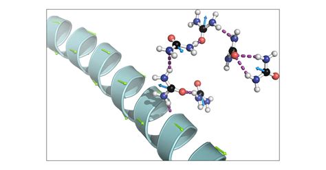 Stabilizing α Helicity Of A Polypeptide In Aqueous Urea Dipole