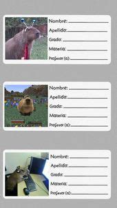 Stickers Para Identificar Cuadernos