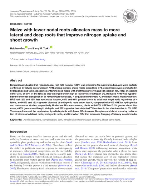 Pdf Maize With Fewer Nodal Roots Allocates Mass To More Lateral And