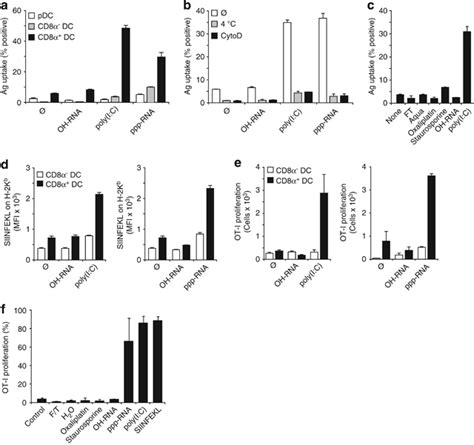 Cd8α Dcs Internalize And Cross Present Tumor Antigen From Download Scientific Diagram