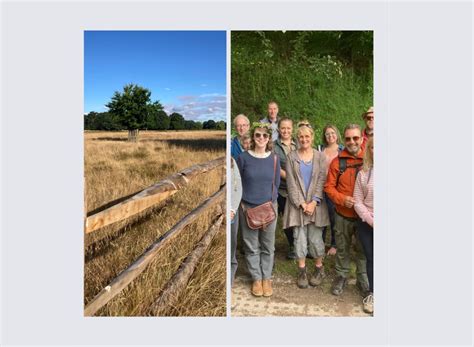 Breacon Beacons Foraging Coed Net