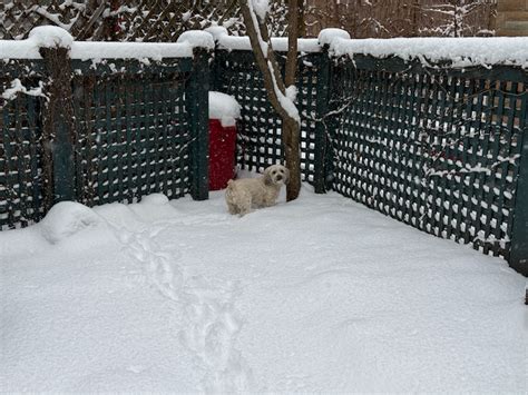 New England Spring 2025 Conrad Halling