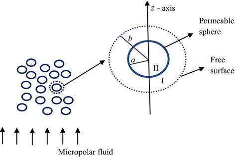 Schematic Representation Of The Flow And The Cell Model Idealization Download Scientific Diagram