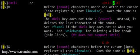 Master Vim Top Tips And Tricks For Beginners Part