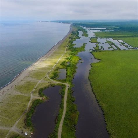 კოლხური ტყეები და ჭაობები Unesco ს მსოფლიო მემკვიდრეობის სიაში შევიდა