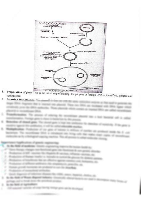SOLUTION Green Manures And Biofertilizers Bio Pesticides Genetic Engineering Food Safety Class