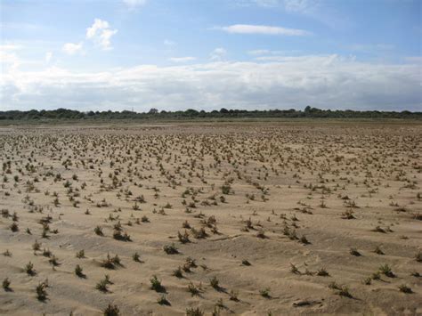 Saltfleetby Theddlethorpe Dunes Nnr © Alan Heardman Geograph