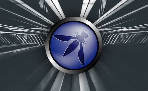 Security Pitfalls To Avoid When Programming Using An Api Help Net