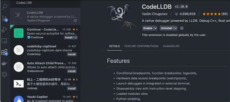 使用vs code开发rust最佳环境设置 duidaima 堆代码