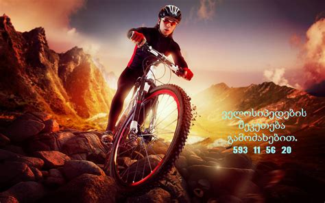 ველოსიპედები და ველოსიპედის აქსესუარები