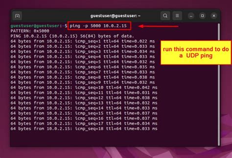 How To Do A Udp Ping In Linux [3 Effective Methods]