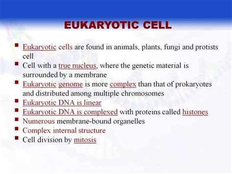 Basic Molecular Biology Pptx