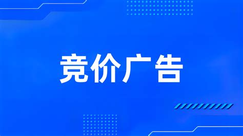 什么是竞价广告？