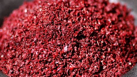 Sumac Jems Take Sumac Jems Take