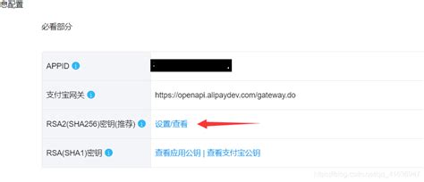 使用nodejsvue3写支付宝网站支付demo接入支付宝支付宝小程序兼容js和vue3 Csdn博客