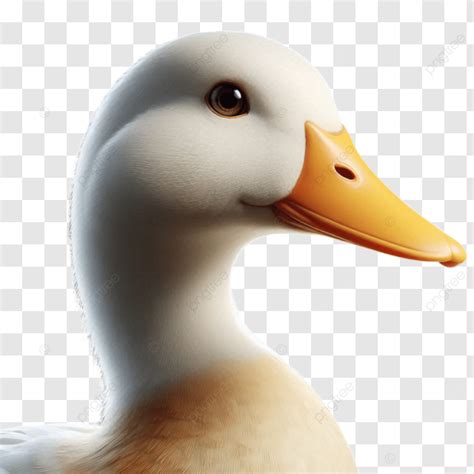 투명한 배경에 흰색 오리 한 마리를 보여주는 자세한 3d 그림 만들기 투명도를 사용하여 격리된 자세히 보기 시각화 개발 투명한 배경에 흰색 오리 한 마리를 보여주는 상세한