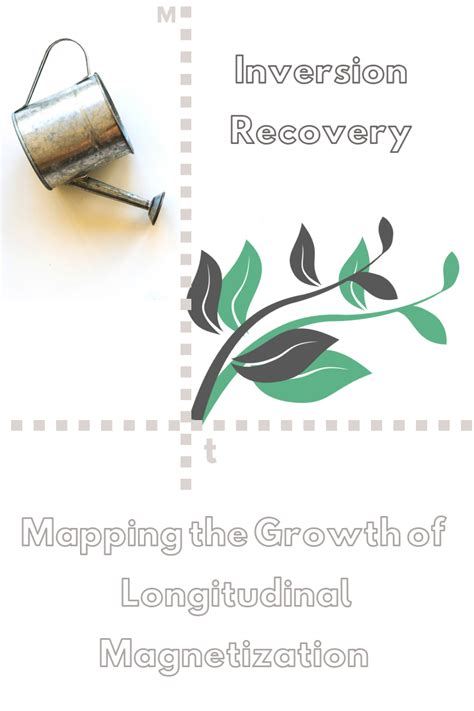 relaxometry series inversion recovery qmrlab